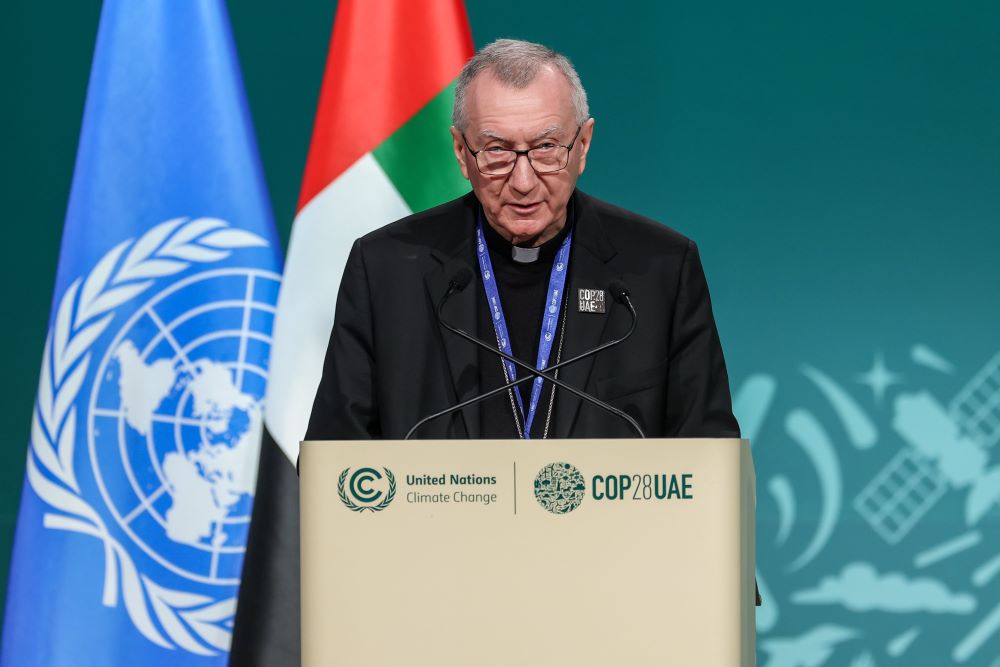 Cardinal Parolin: Palestinians must not be deported from Gaza ...